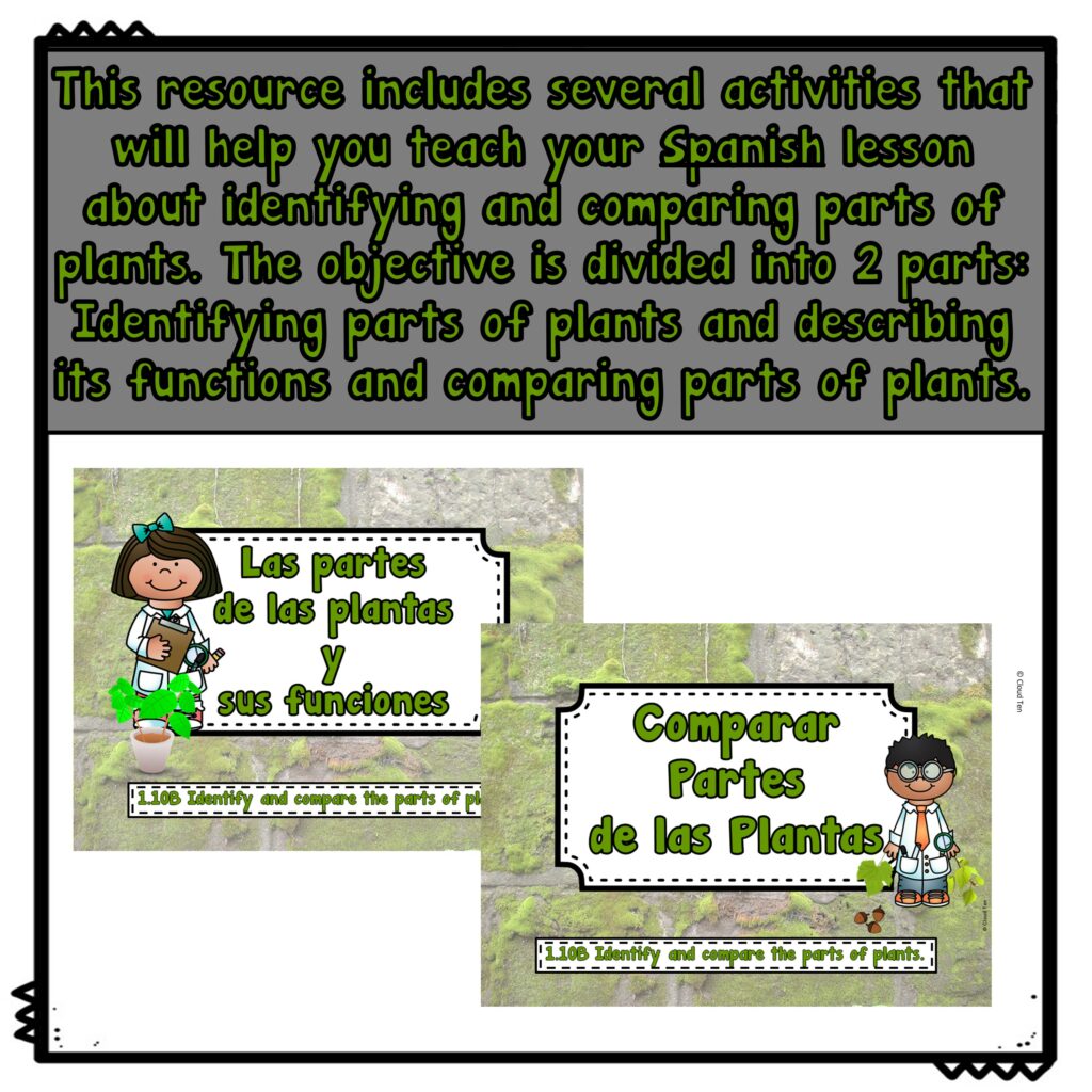 Comparar partes de las plantas in Google Slides™ - Made By Teachers