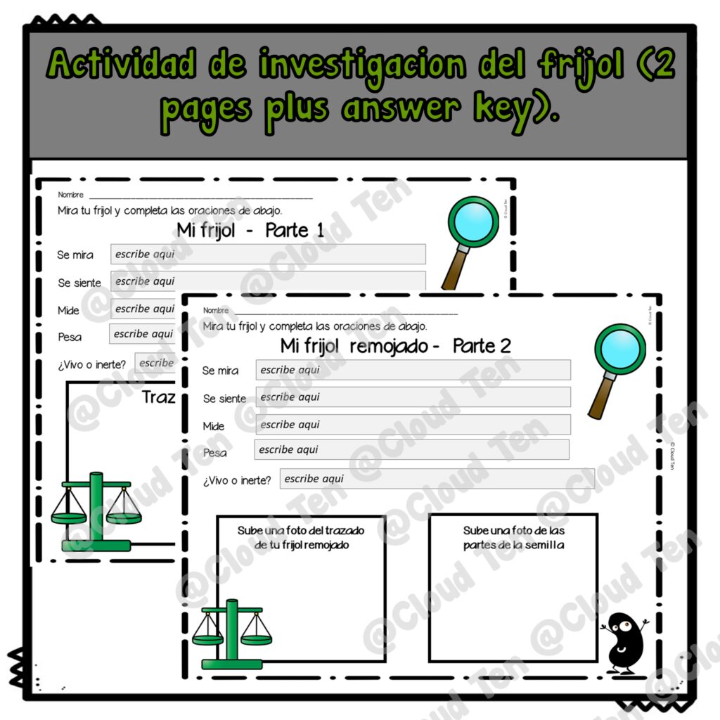 Comparar partes de las plantas in Google Slides™ | Made By Teachers