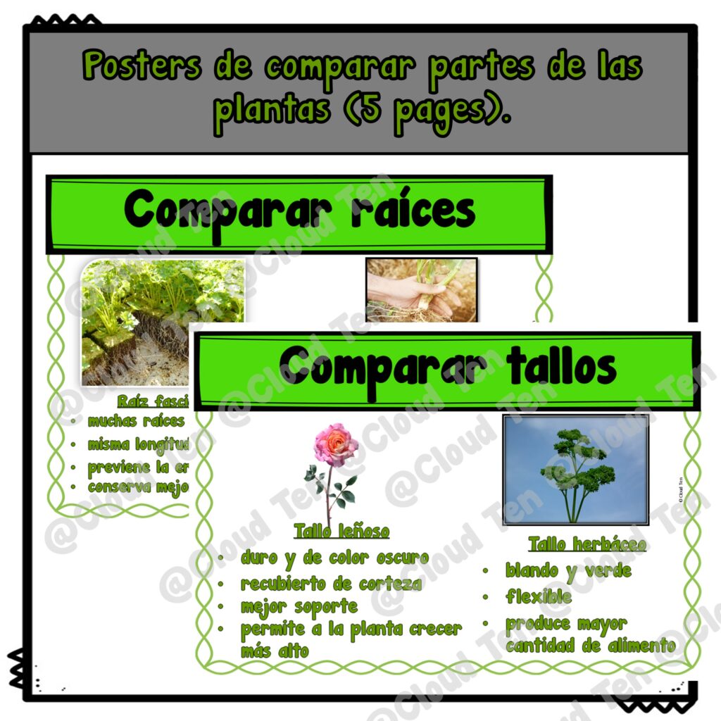 Comparar partes de las plantas in Google Slides™ | Made By Teachers