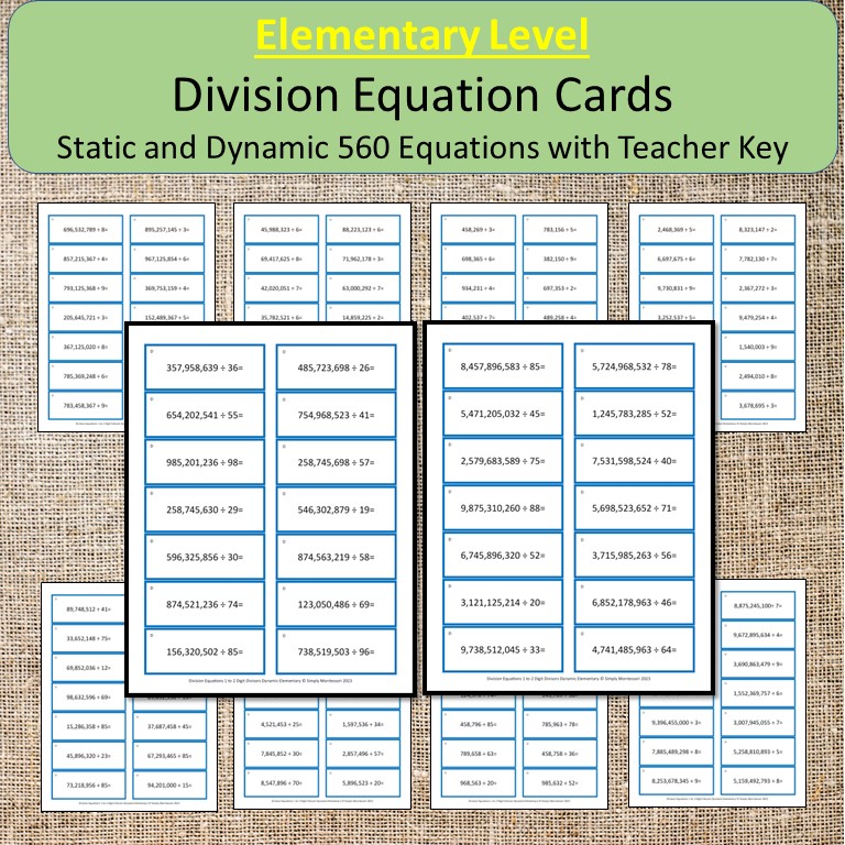 Division Equations Montessori Math Elementary Homeschool | Made By Teachers