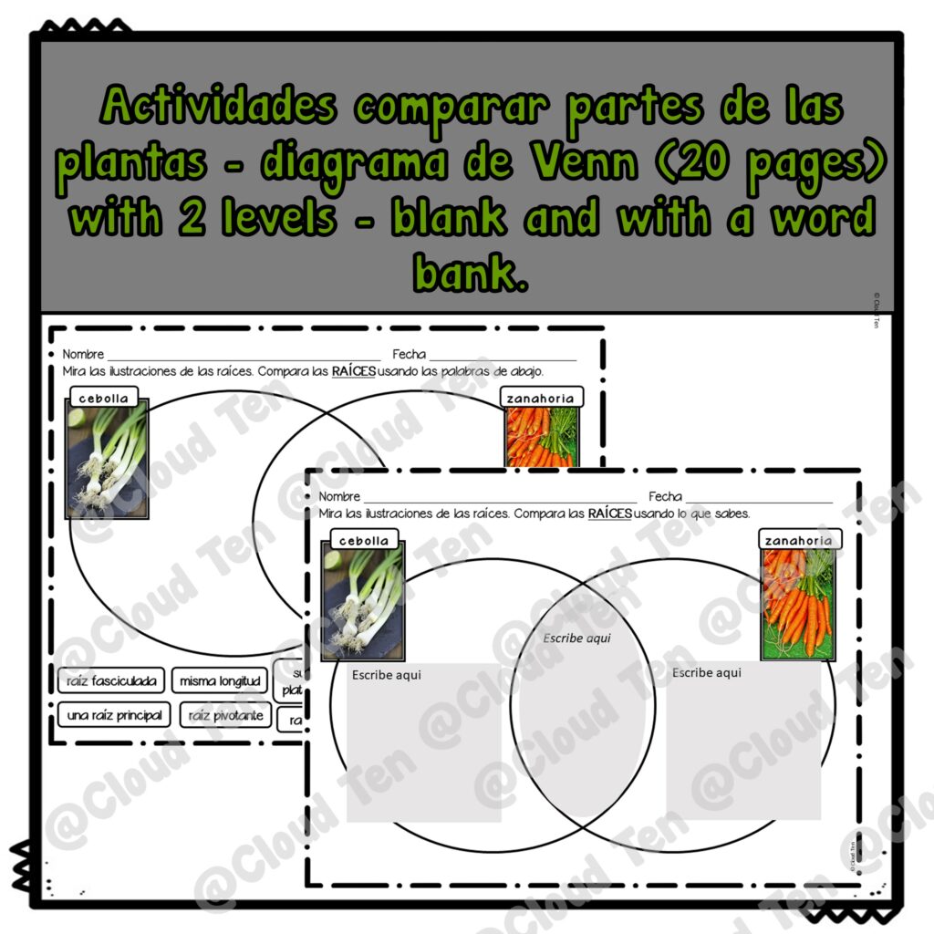Comparar partes de las plantas in Google Slides™ | Made By Teachers