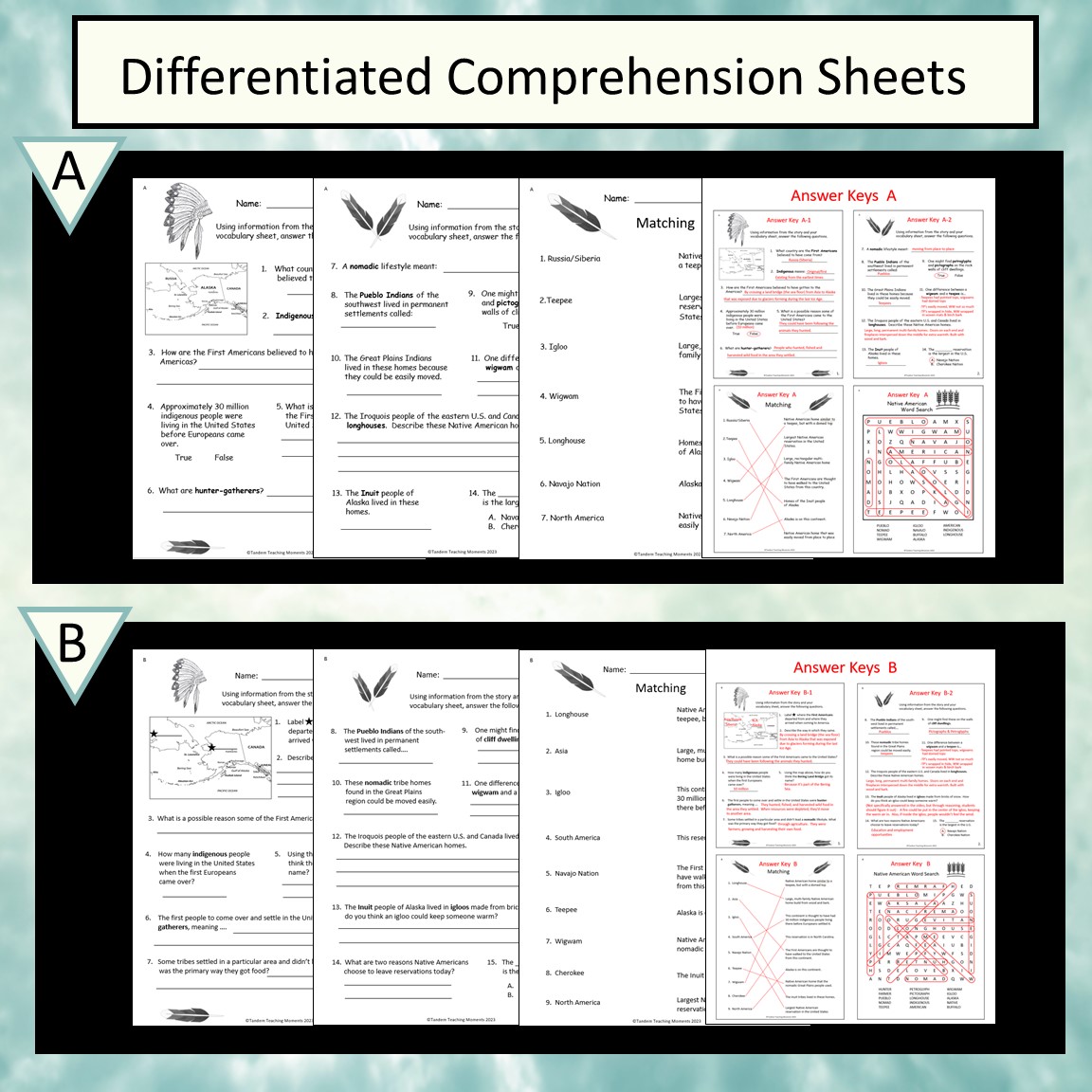 Native American Homes & more Video Lesson & Worksheets | Made By Teachers