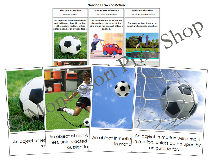 Newton's 3 Laws of Motion - Information & Picture Cards | Made By Teachers