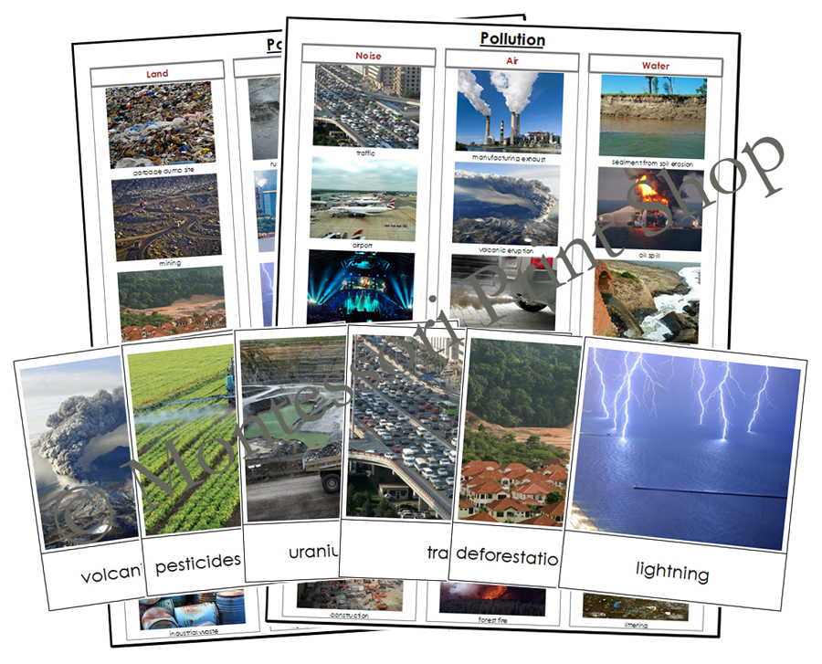 Types of Pollution - Information, Sorting Cards & Control Charts | Made ...
