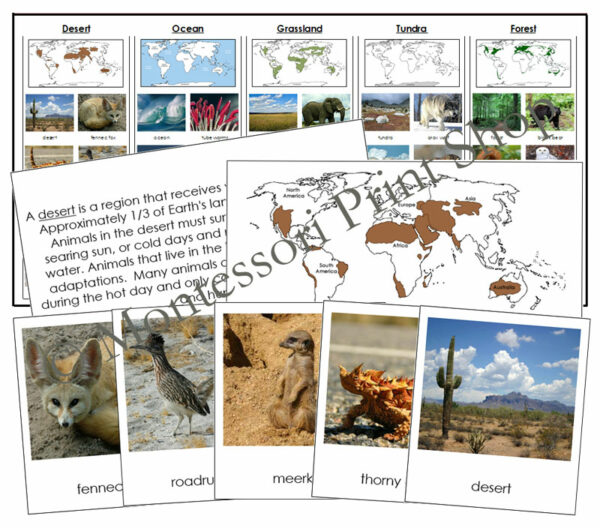 Animals and Their Habitats - Sorting Cards & Maps | Made By Teachers