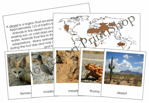 Animals and Their Habitats (color-coded) - Sorting Cards & Maps | Made ...