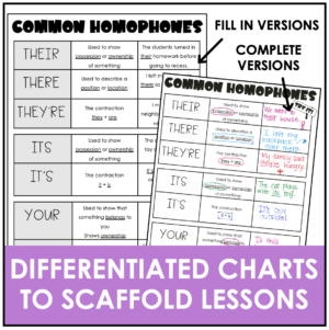 Homophones and Homonyms Chart and Grammar Notes | Made By Teachers