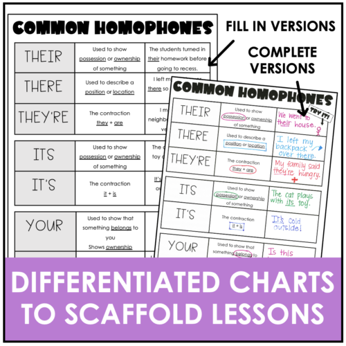 Homophones and Homonyms Chart and Grammar Notes | Made By Teachers