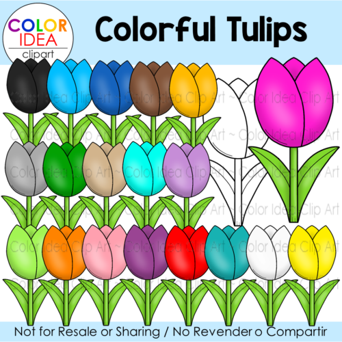 Colorful Tulips | Made By Teachers
