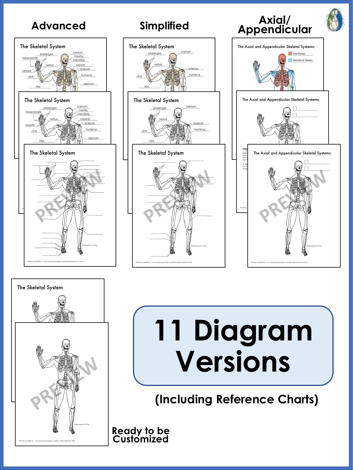 Skeletal System Diagrams To Label And Color With Reference Information