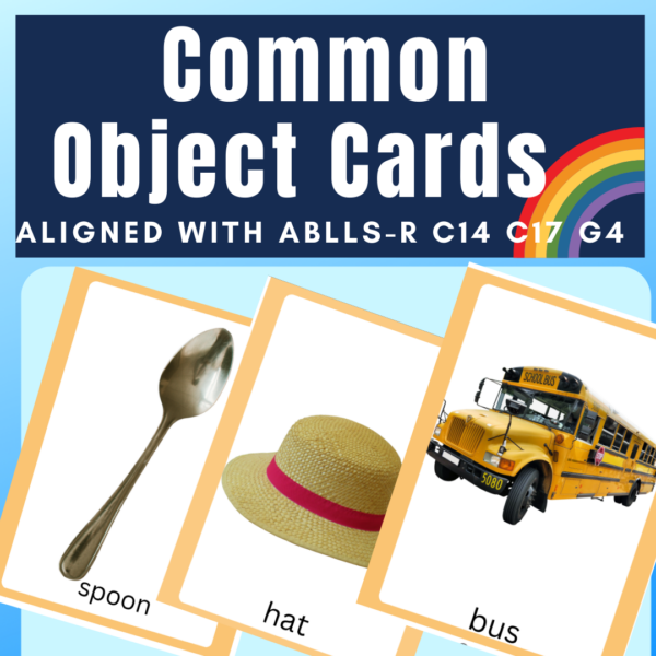 Common Object Picture Cards for ABA Autism ABLLS-R C14 C17 & G4 with ...