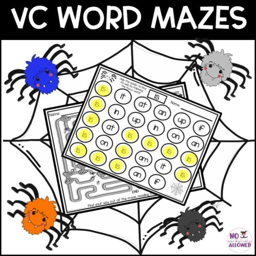 VC Words Activity for Beginning and Struggling Readers | Made By Teachers