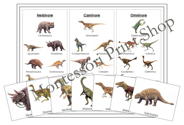 Dinosaur Sorting - Herbivores, Carnivores & Omnivores | Made By Teachers