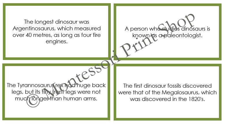 Dinosaur Fun Facts | Made By Teachers