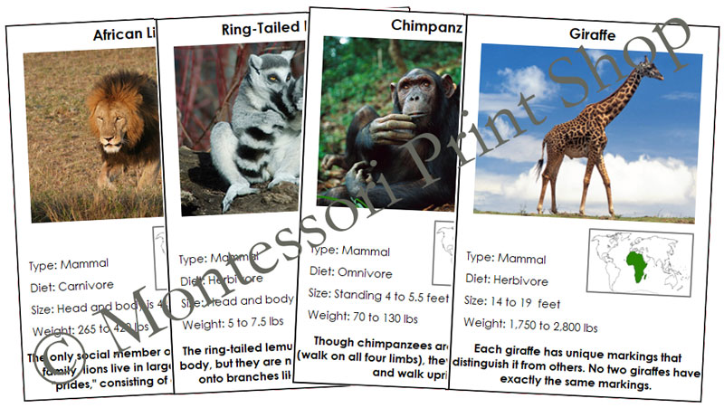 Animals of Africa Pictures & Facts (Montessori color-code) | Made By ...