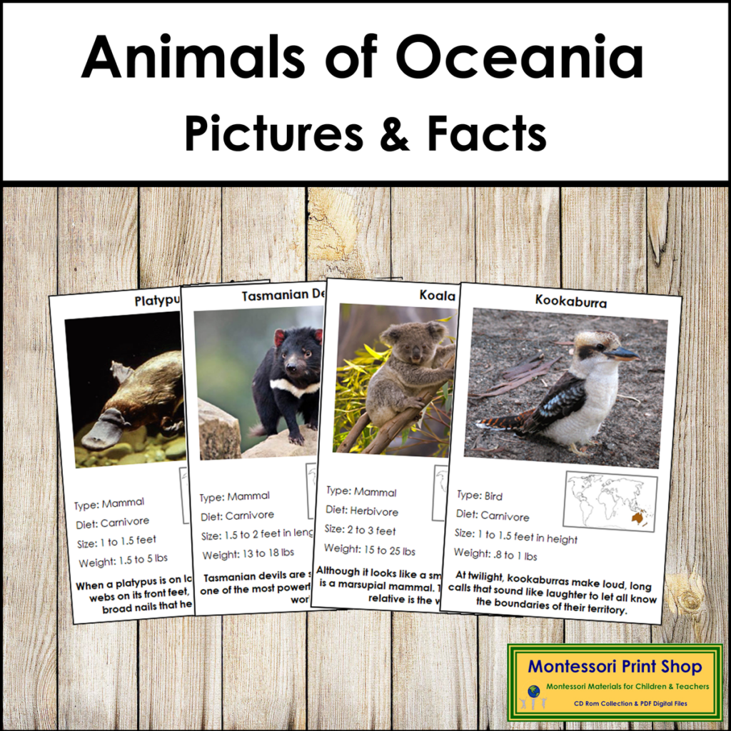 Animals of Australia/Oceania Pictures & Facts (Montessori color-code ...