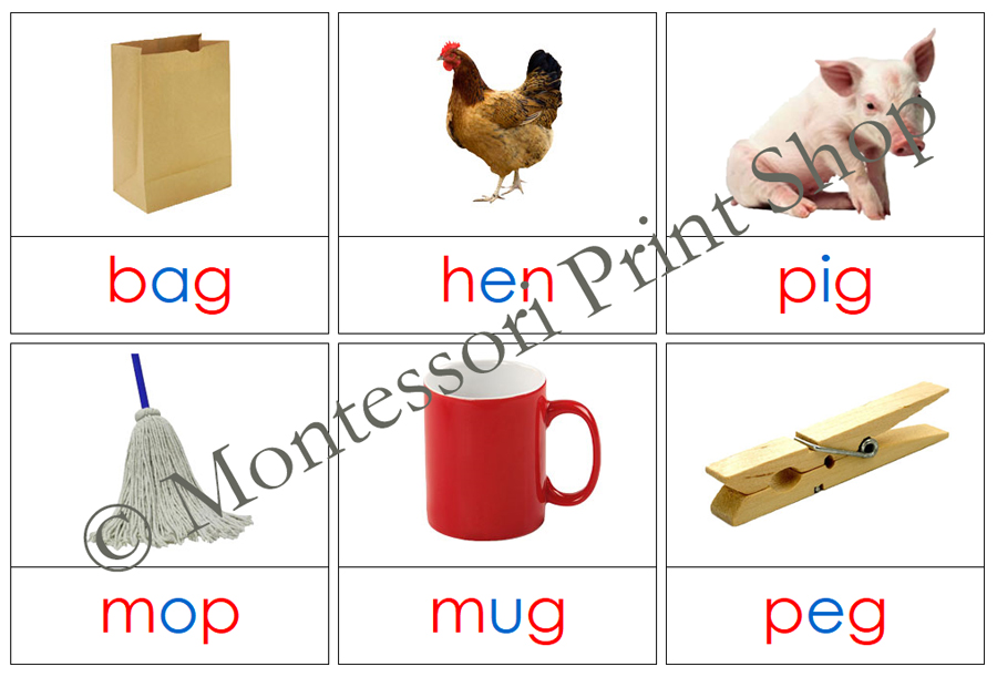 Phonetic Picture Cards Level #1 - Phonics | Made By Teachers