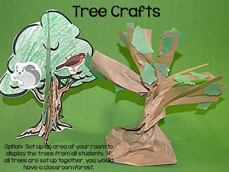 Forest Animals Habitats | Made By Teachers