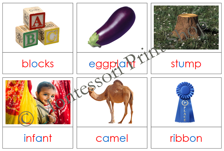 Phonetic Picture Cards Level #2 - Phonics | Made By Teachers