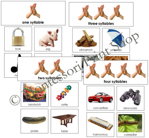 Syllable Sorting Cards - Primary Language | Made By Teachers