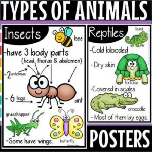 Animal classification posters | Made By Teachers