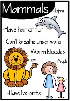 Animal classification posters | Made By Teachers