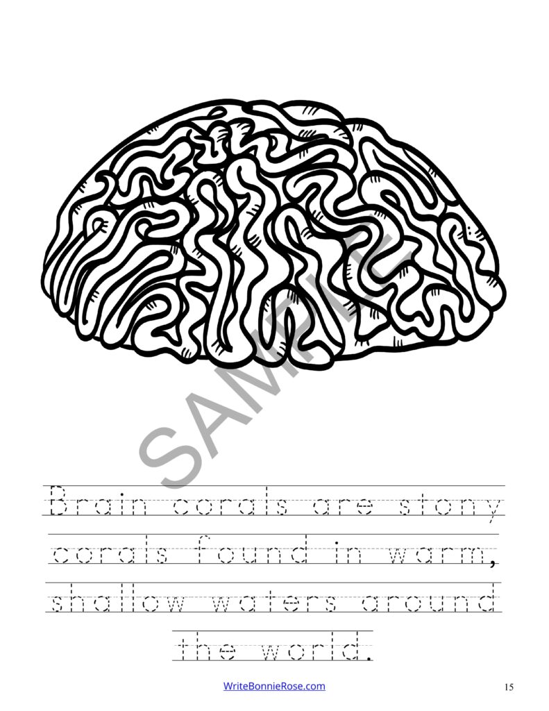 Ocean Animals Around the World Coloring Book-Level B | Made By Teachers