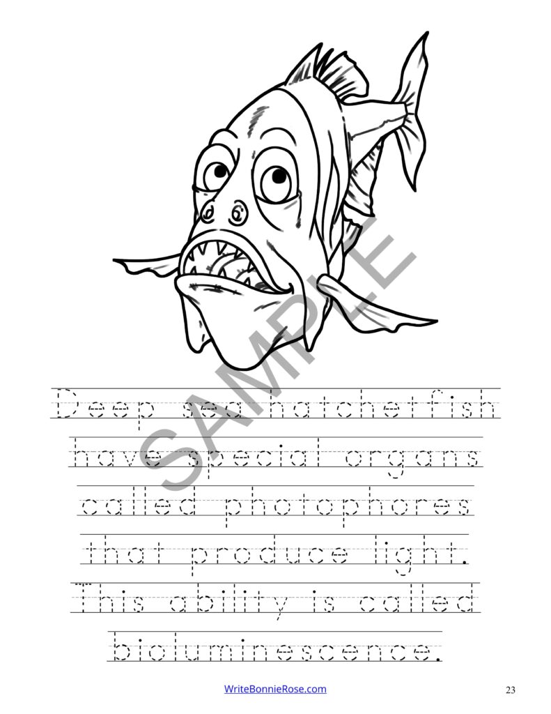 Ocean Animals Around the World Coloring Book-Level B | Made By Teachers