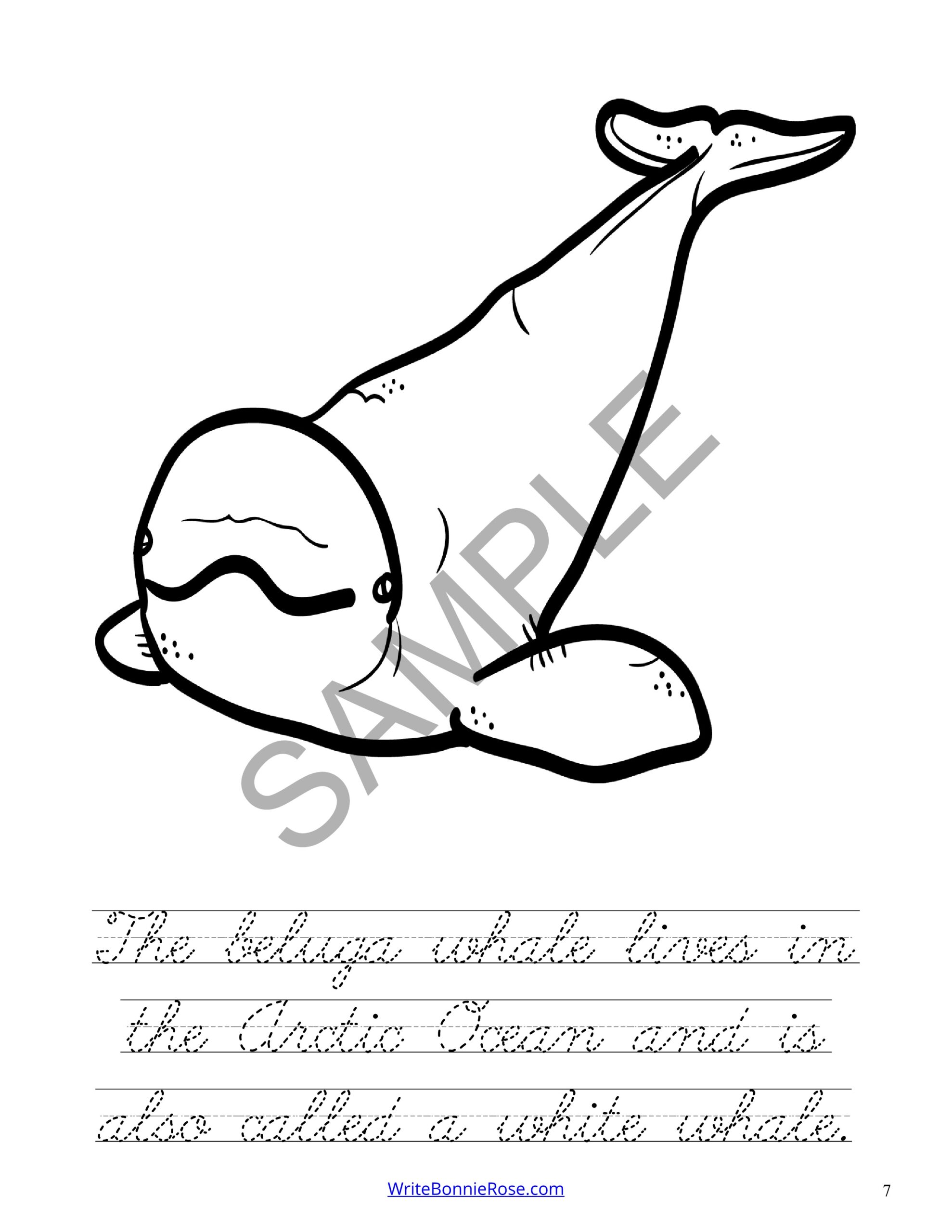 Ocean Animals Around the World Coloring Book-Level C | Made By Teachers