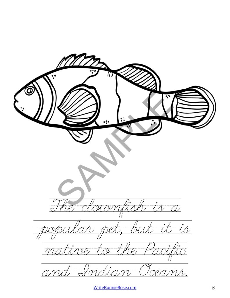 Ocean Animals Around the World Coloring Book-Level C | Made By Teachers