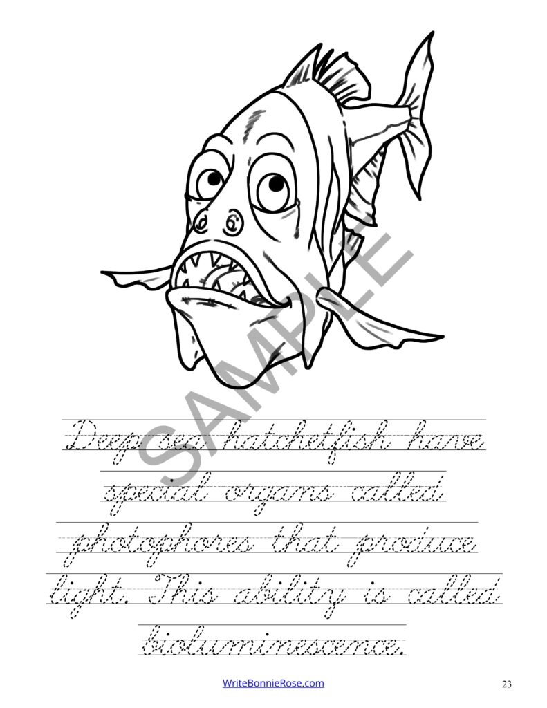 Ocean Animals Around the World Coloring Book-Level C | Made By Teachers