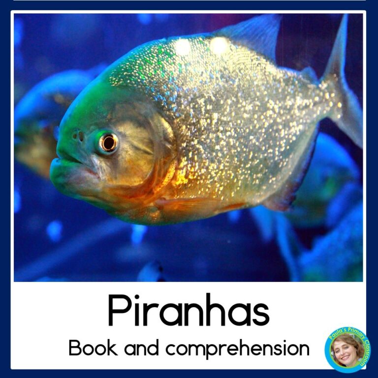 Rainforest Animals Piranhas Book Reading Comprehension and Vocabulary ...