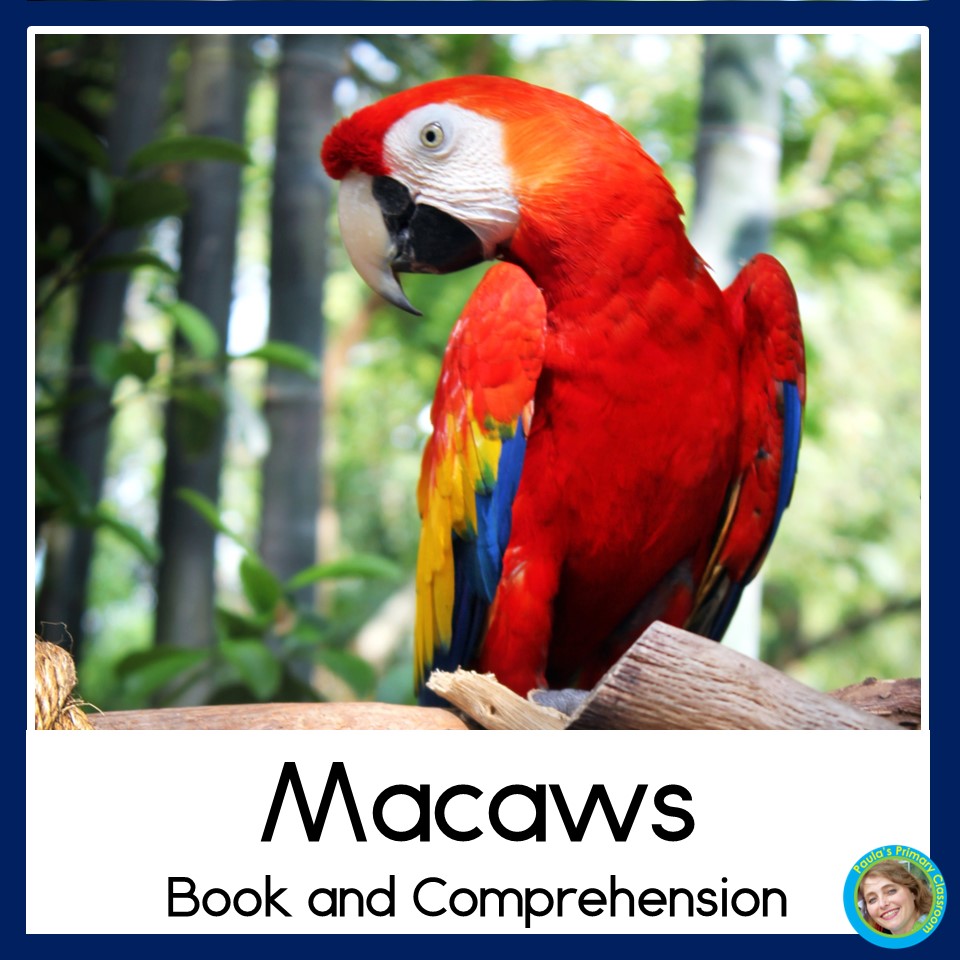 Rainforest Animals Macaws Book Reading Comprehension Passage and ...