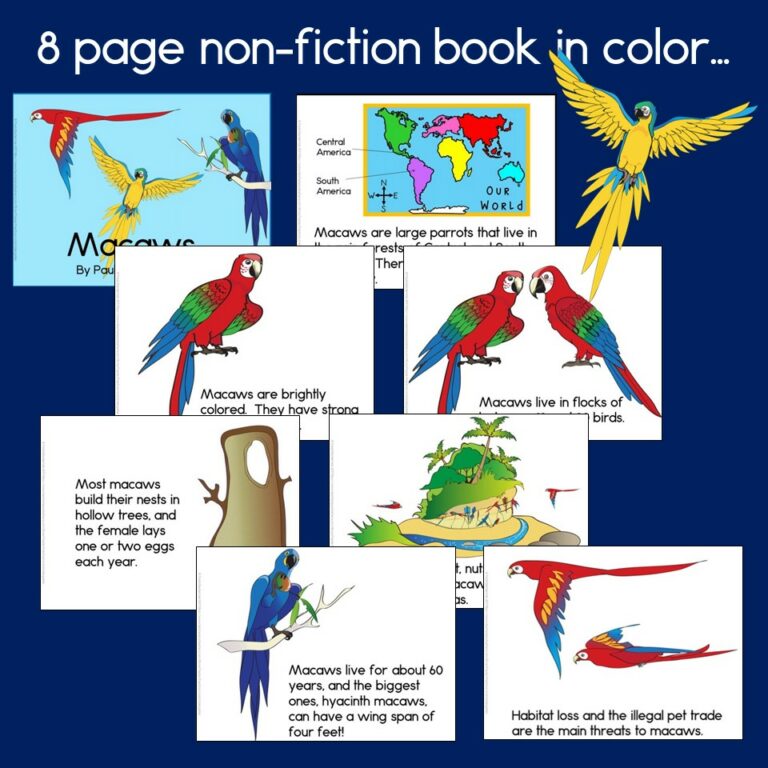 Rainforest Animals Macaws Book Reading Comprehension Passage and ...