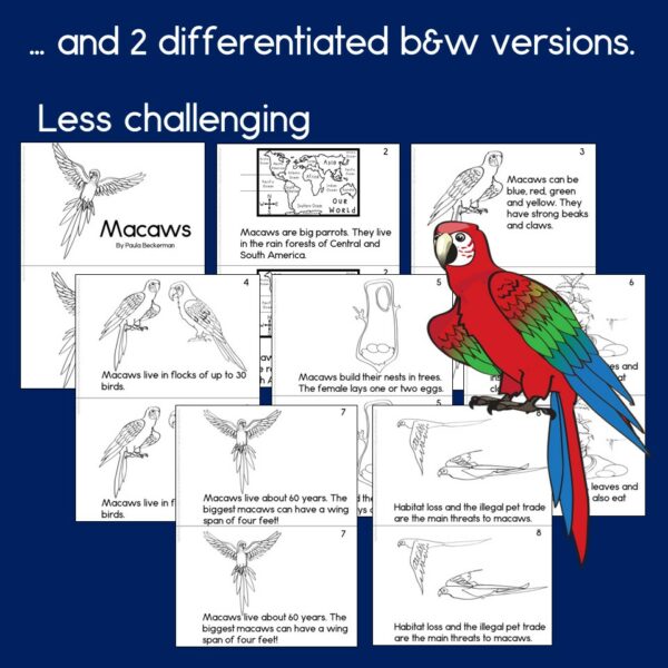 Rainforest Animals Macaws Book Reading Comprehension Passage and ...