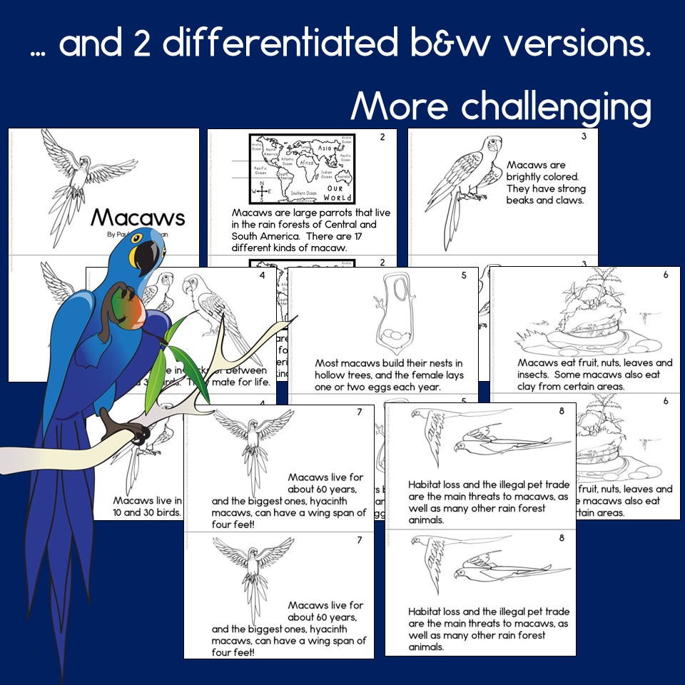 Rainforest Animals Macaws Book Reading Comprehension Passage and ...
