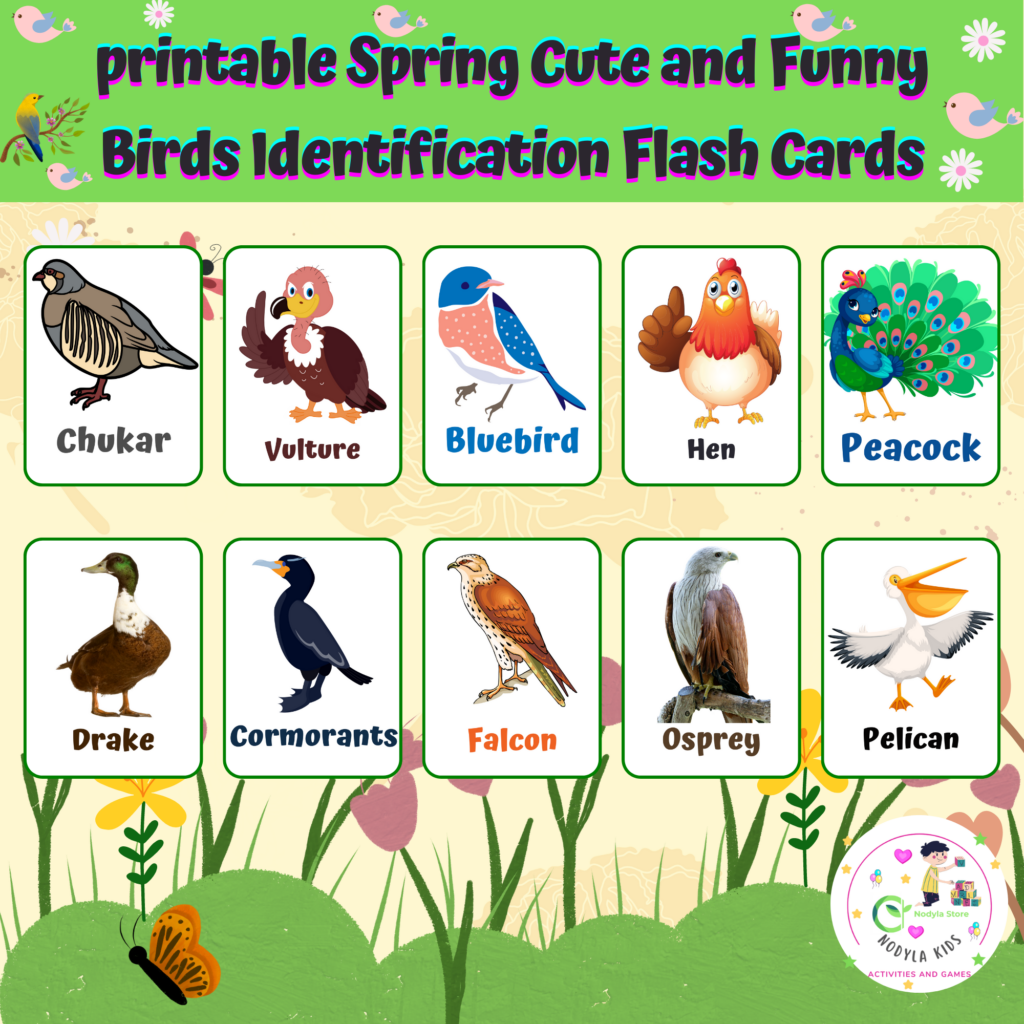 printable Spring Cute and Funny Birds Identification Flash Cards | Made ...