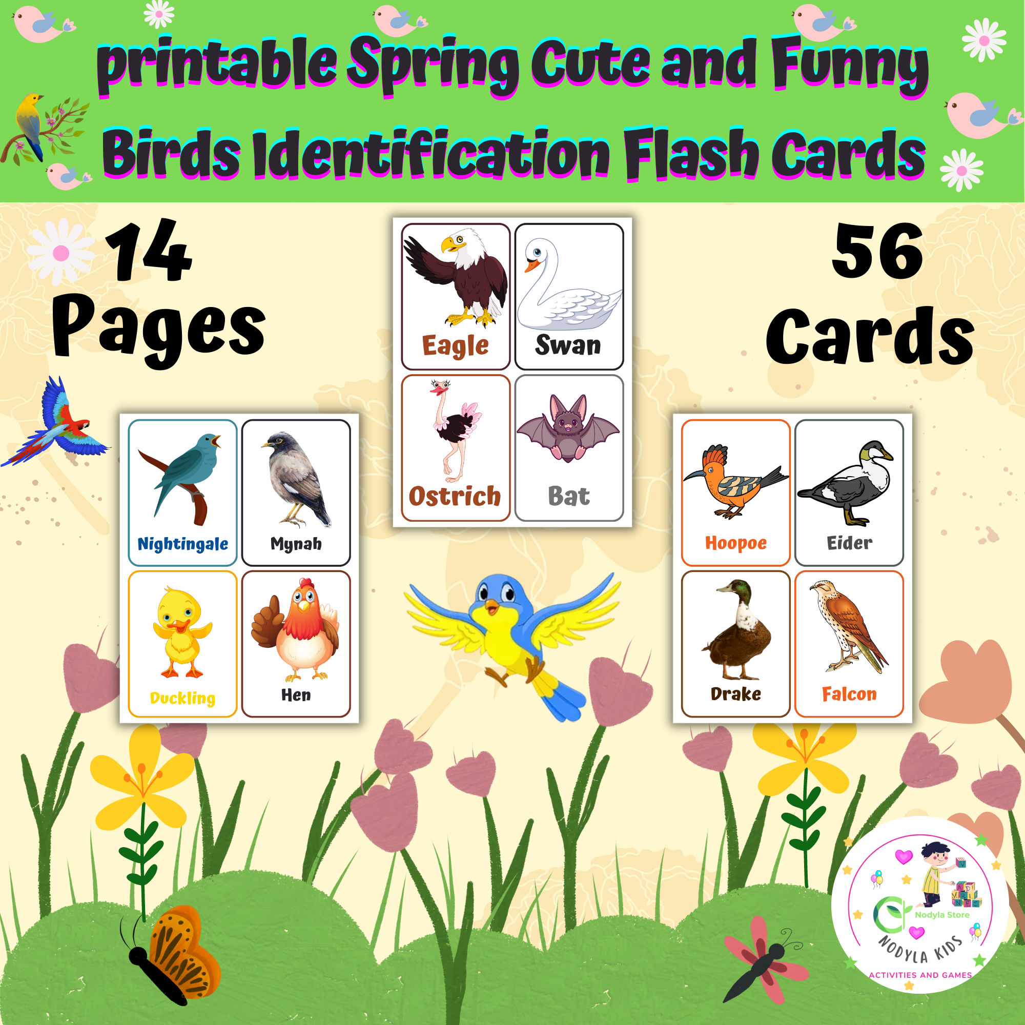 printable Spring Cute and Funny Birds Identification Flash Cards | Made By Teachers