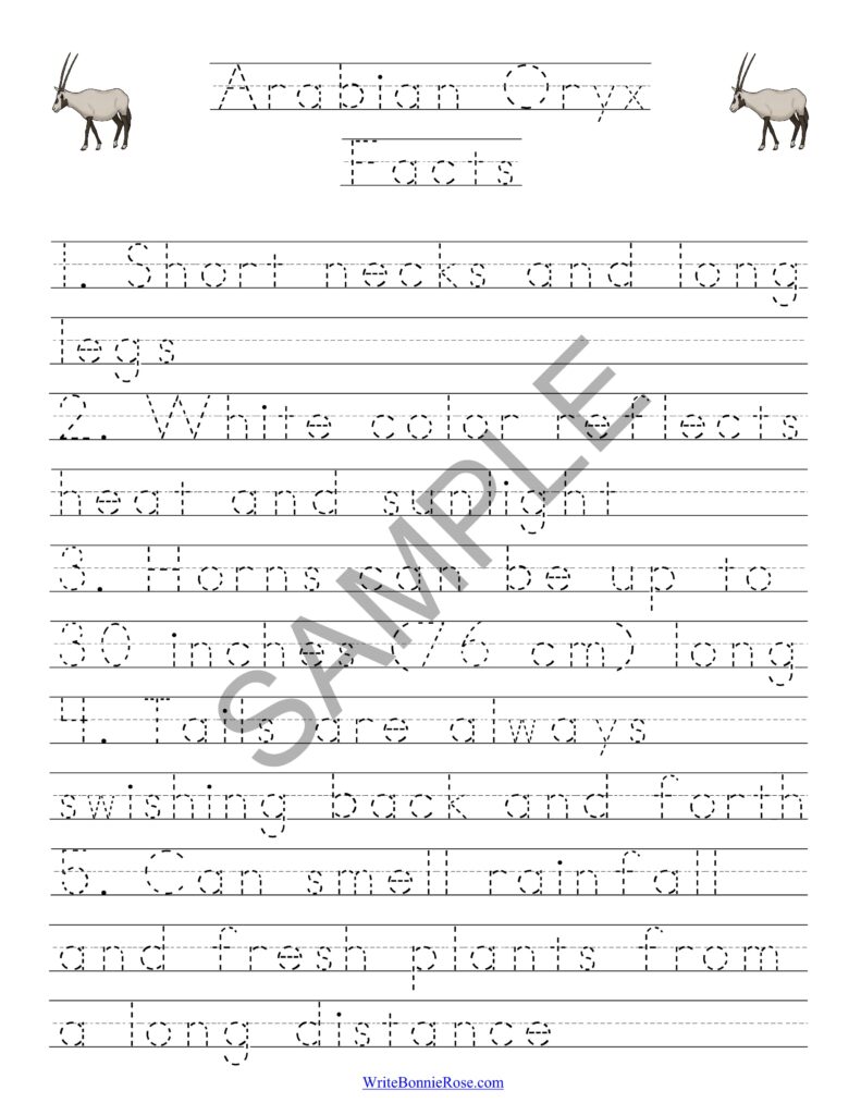 Asian Animal Facts Color and Copy | Made By Teachers