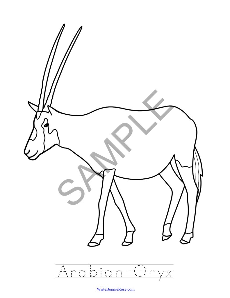 Asian Animal Facts Color and Copy | Made By Teachers