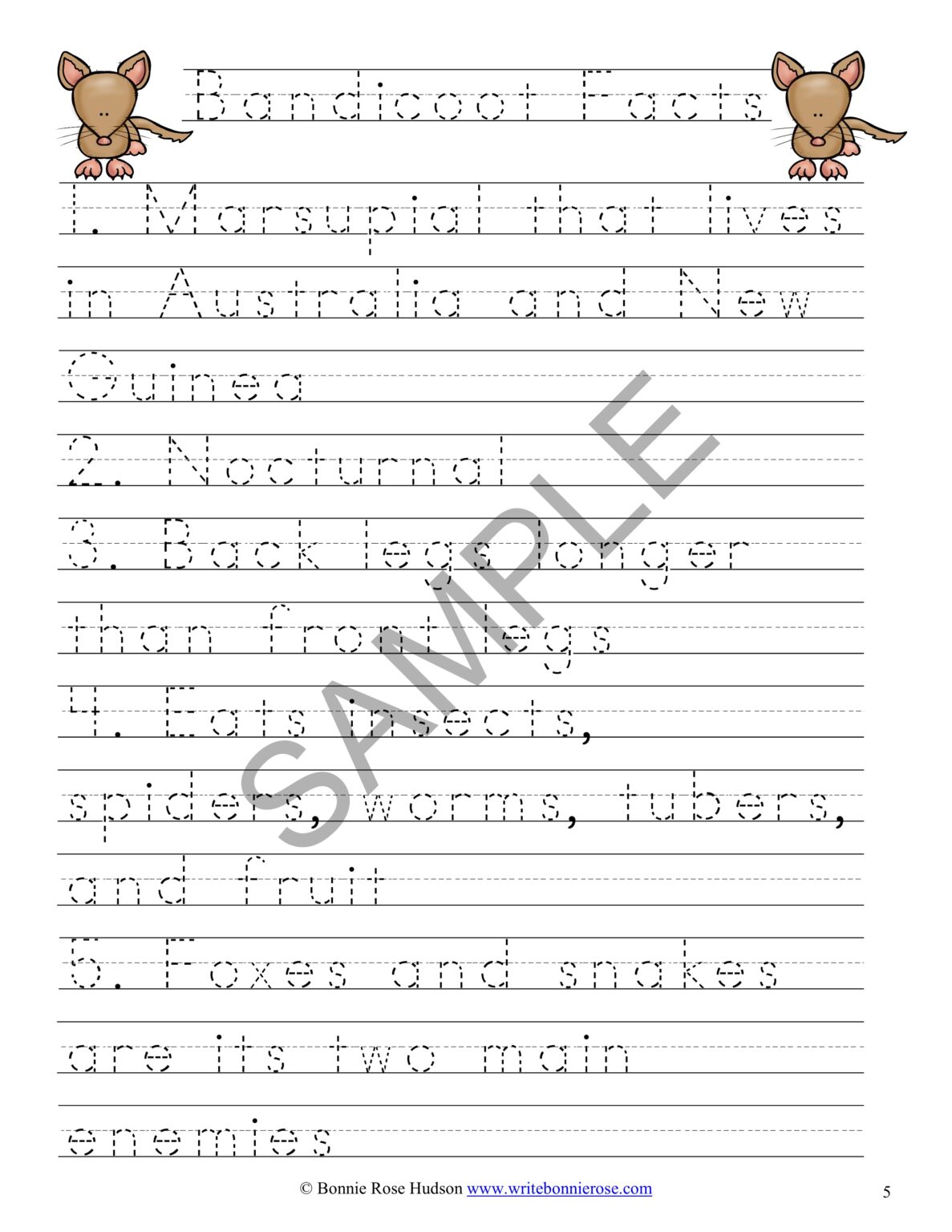 Australian Animal Facts Color and Copy | Made By Teachers