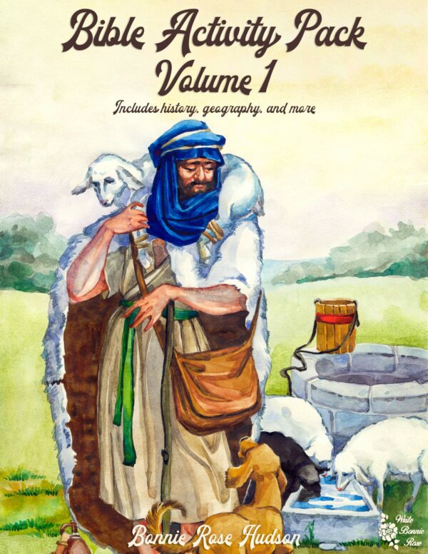 Bible Activity Pack, Volume 1 | Made By Teachers