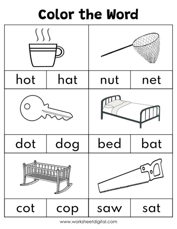 CVC Words, Say and Write the CVC Words, Phonics Worksheets ...