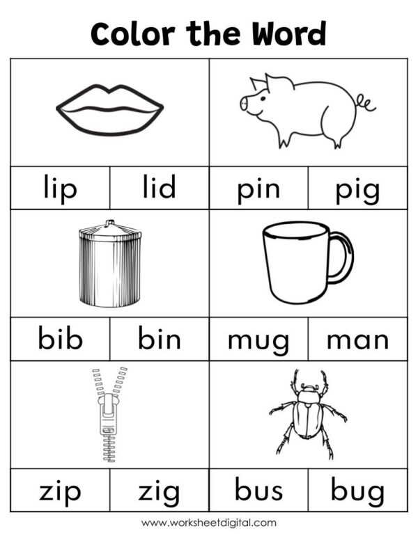 CVC Words, Say and Write the CVC Words, Phonics Worksheets ...