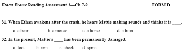 Reading Quizzes for ALL CHAPTERS of Wharton's ETHAN FROME | Made By ...
