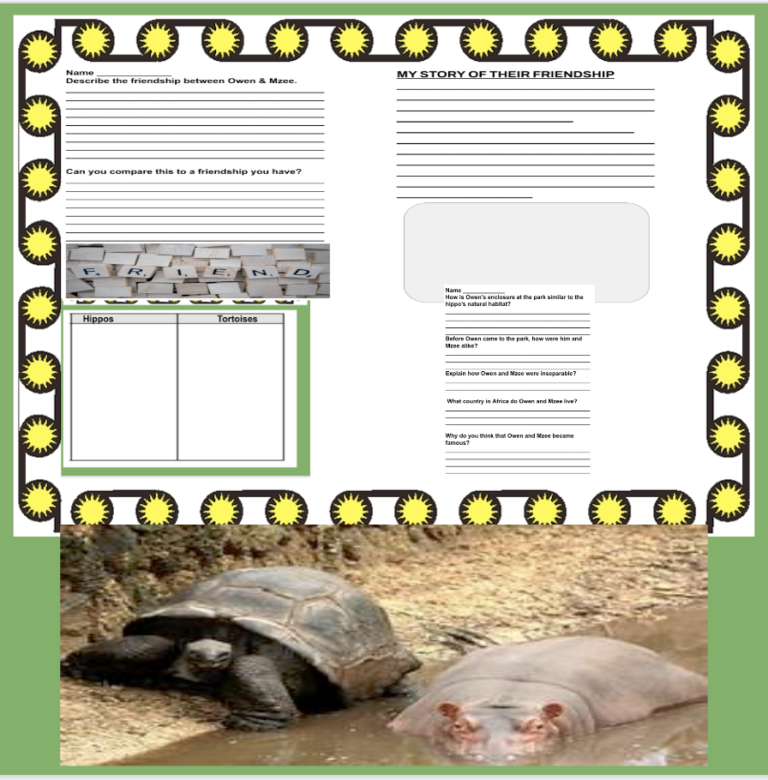 OWEN & MZEE: READING LESSONS AND ACTIVITIES | Made By Teachers