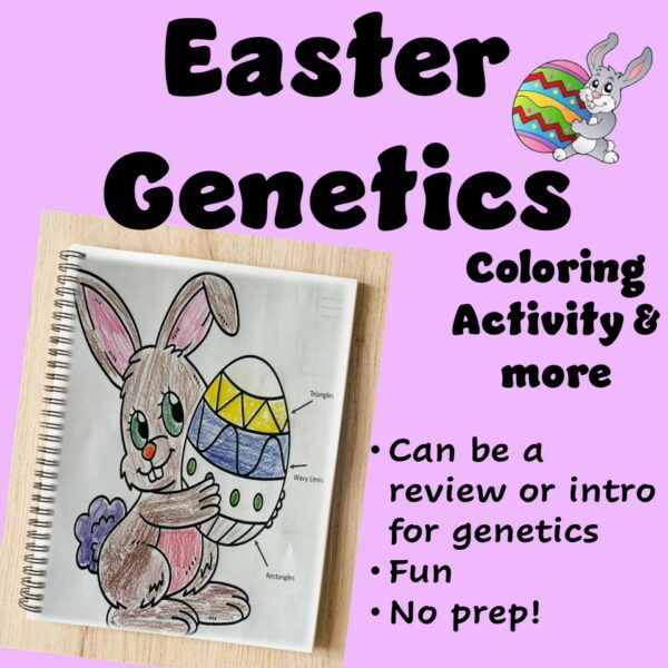 Easter Genetics Coloring Activity AND MORE! | Made By Teachers