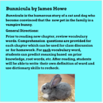 BUNNICULA READING LESSONS & EXTENSION ACTIVITIES | Made By Teachers