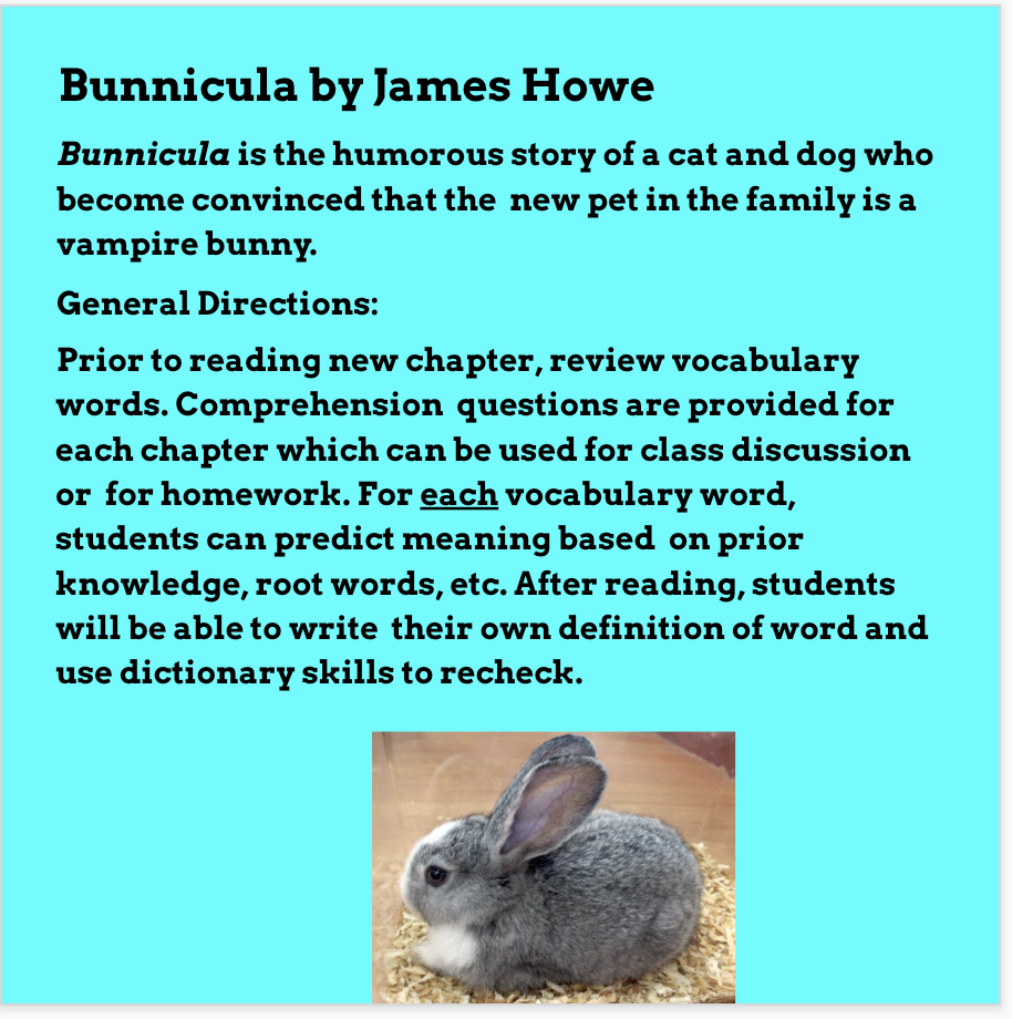 BUNNICULA READING LESSONS & EXTENSION ACTIVITIES | Made By Teachers