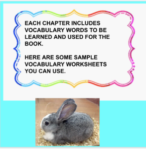 BUNNICULA READING LESSONS & EXTENSION ACTIVITIES | Made By Teachers